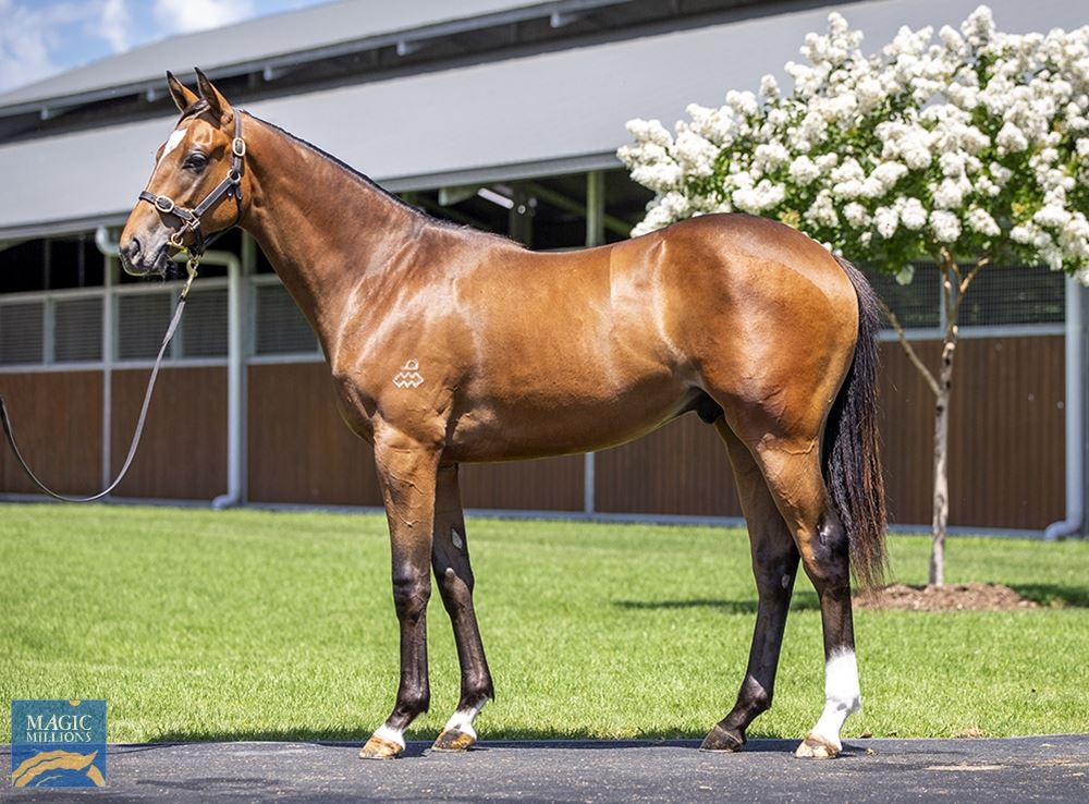 Danny O'Brien Racing