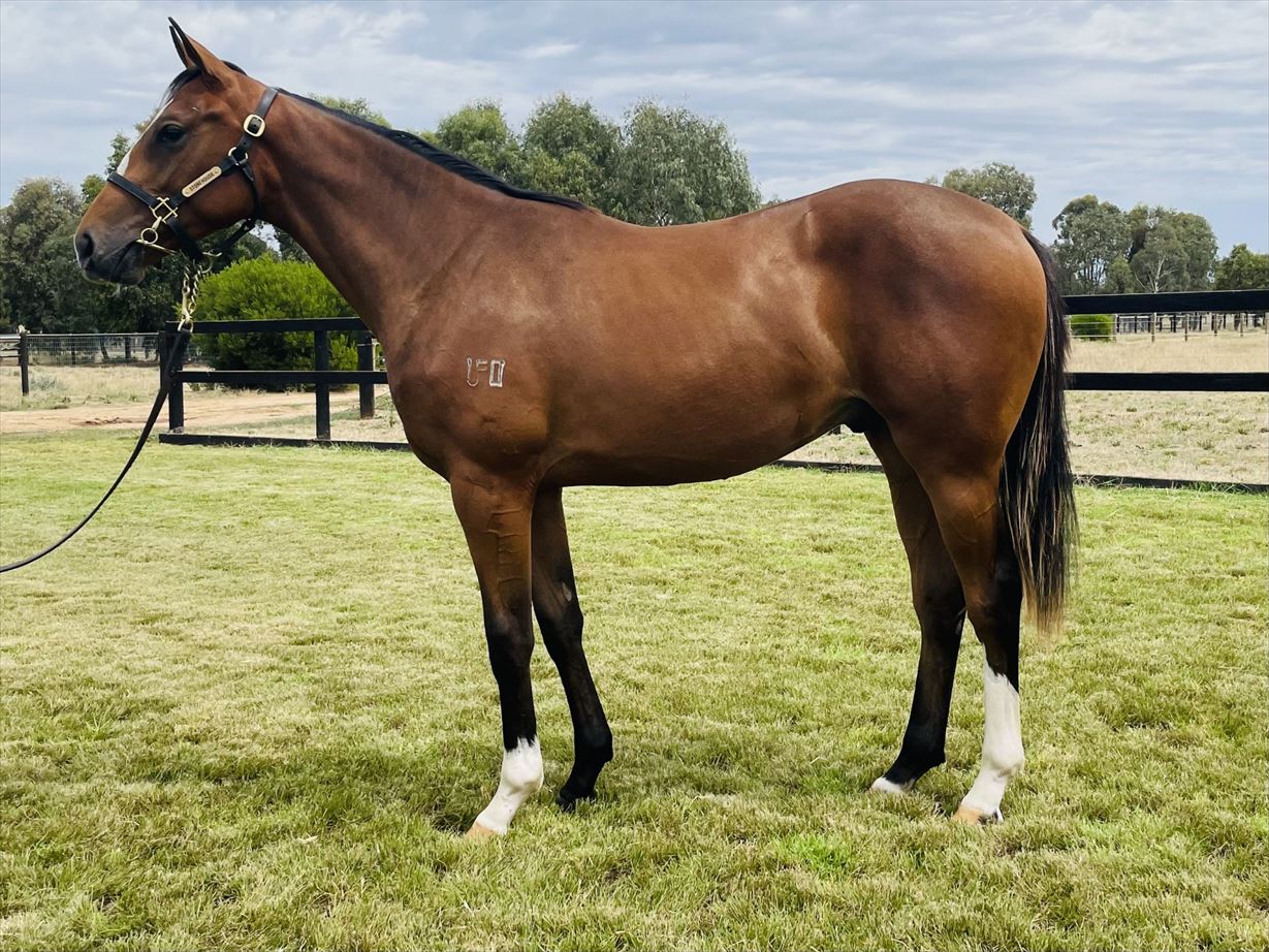 Danny O'Brien Racing