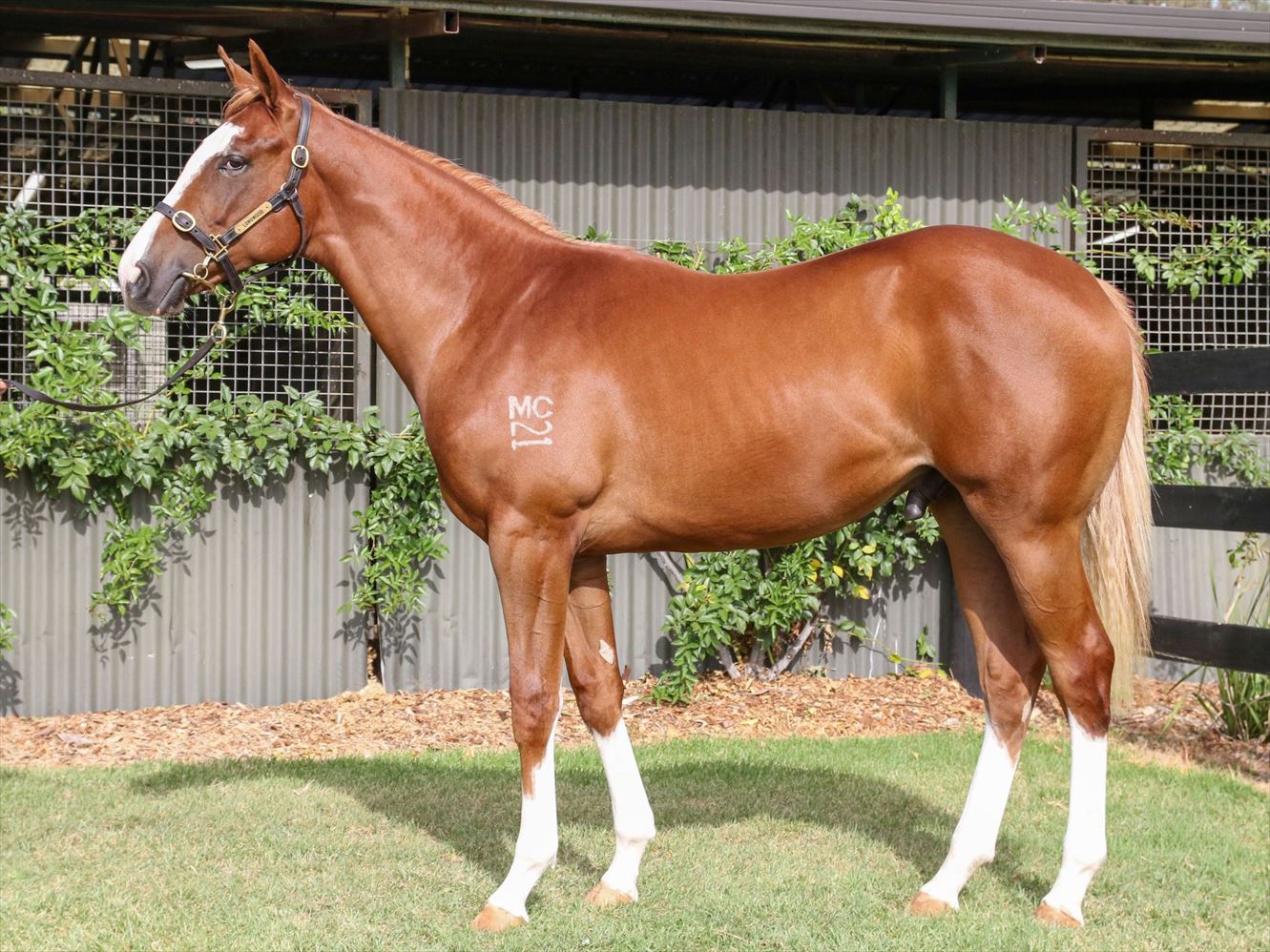 Danny O'Brien Racing