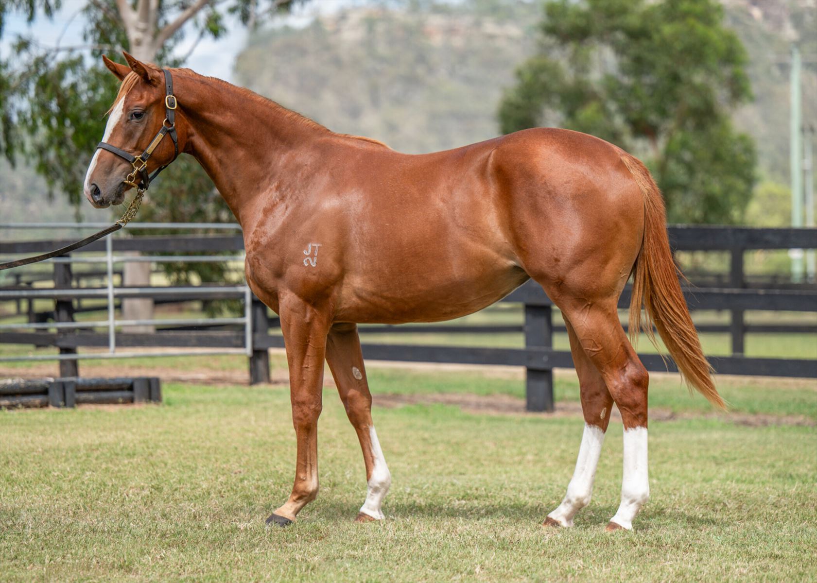 Danny O'Brien Racing