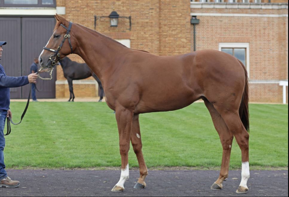 Danny O'Brien Racing